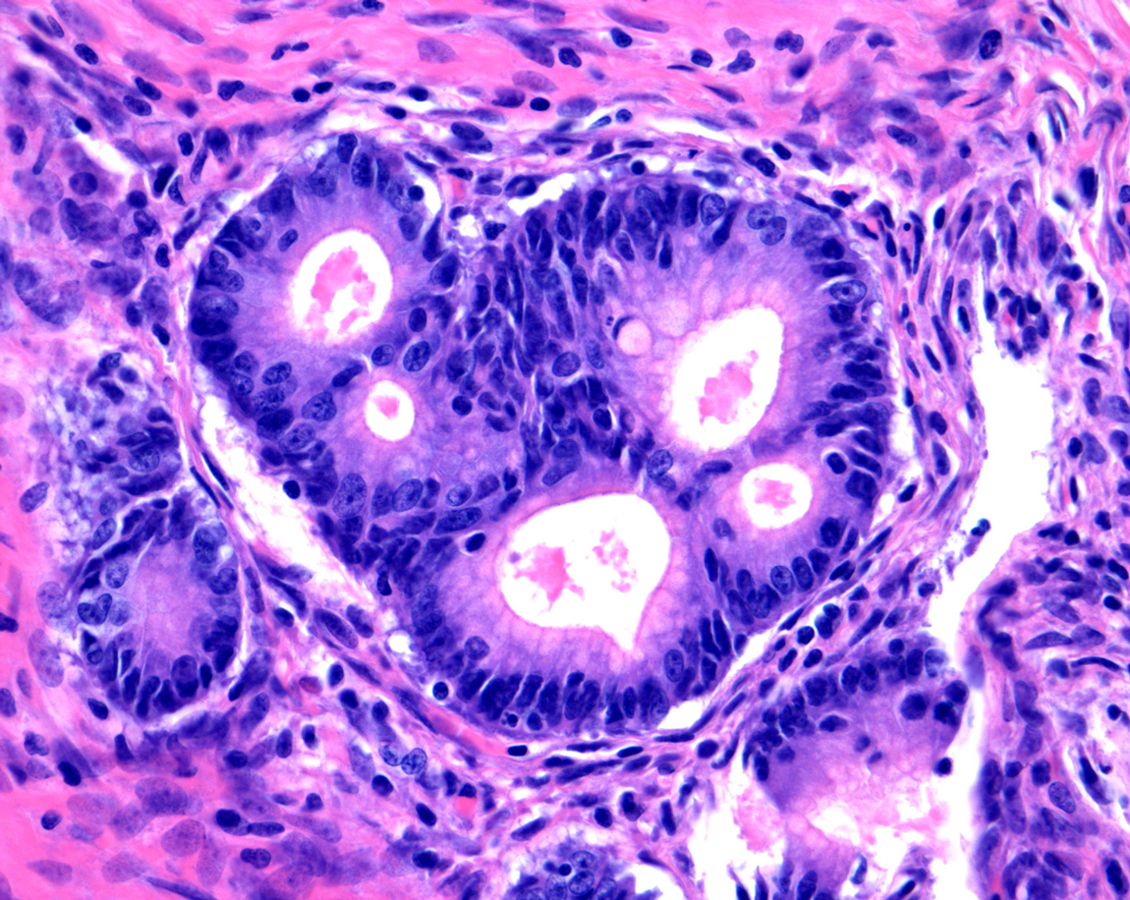 Archive - VCU School of Medicine